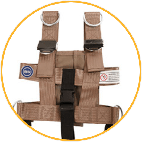 BESI Home - BESI - School Bus Supplier